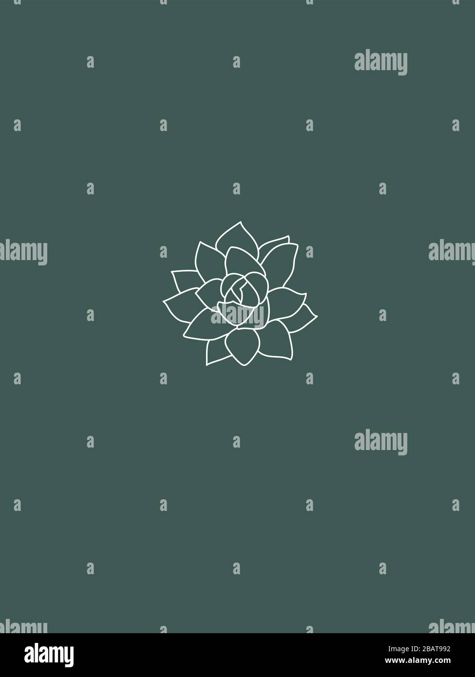 Modern and Minimalist Succulent Echeveria Vector Line Art in White and ...