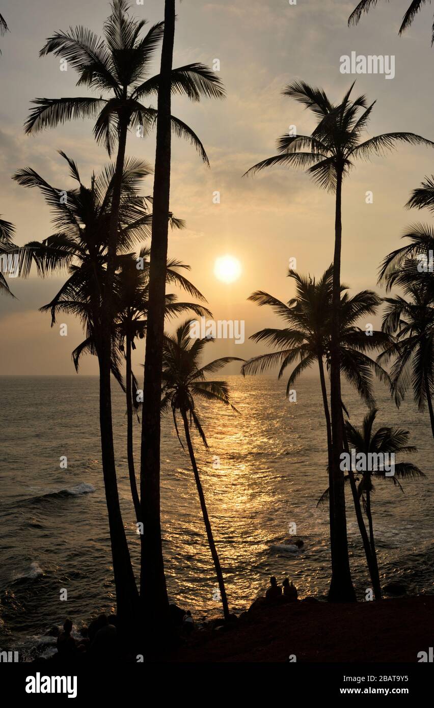 Palm tree in tropical sunset hi-res stock photography and images - Alamy