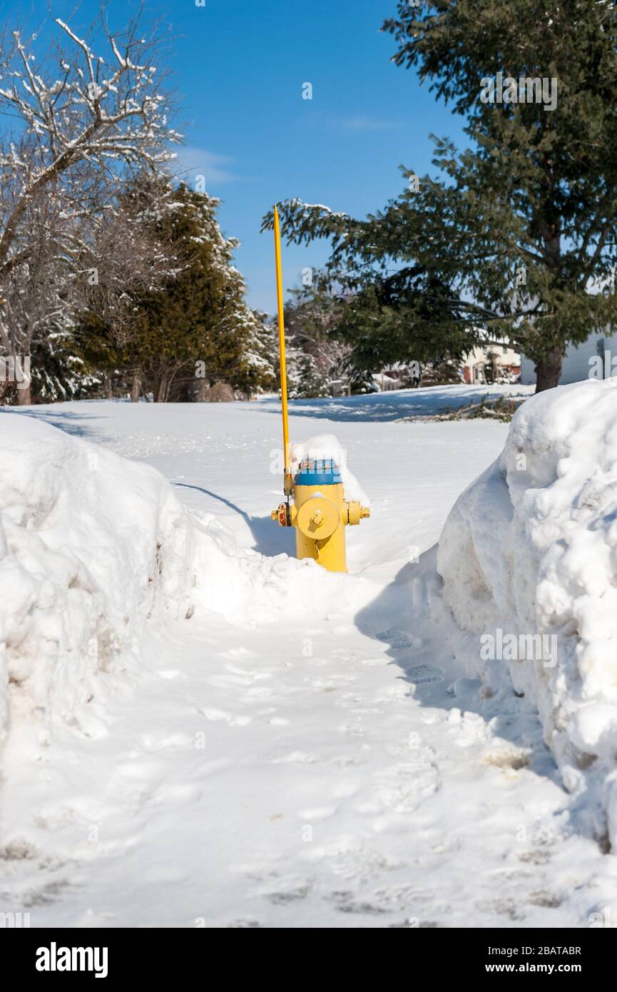 Arctic fire hi-res stock photography and images - Alamy