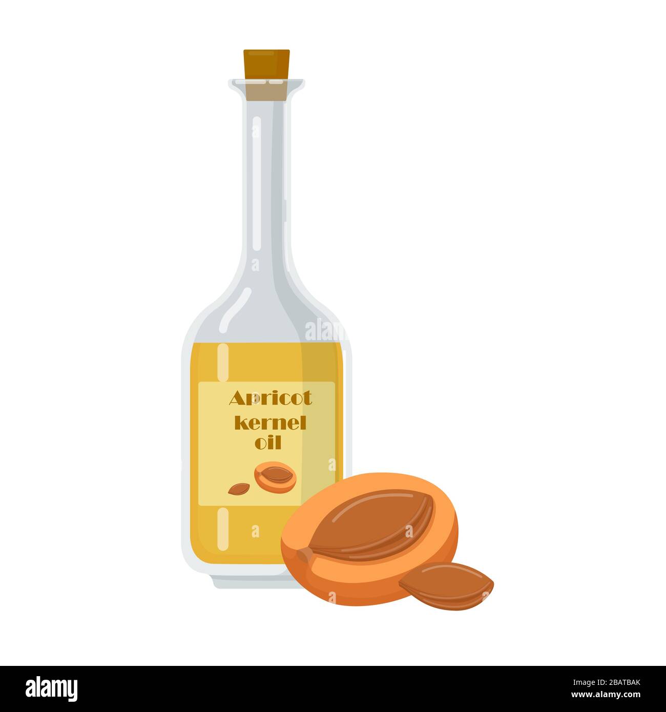 Organic apricot kernel Stock Vector Images - Alamy