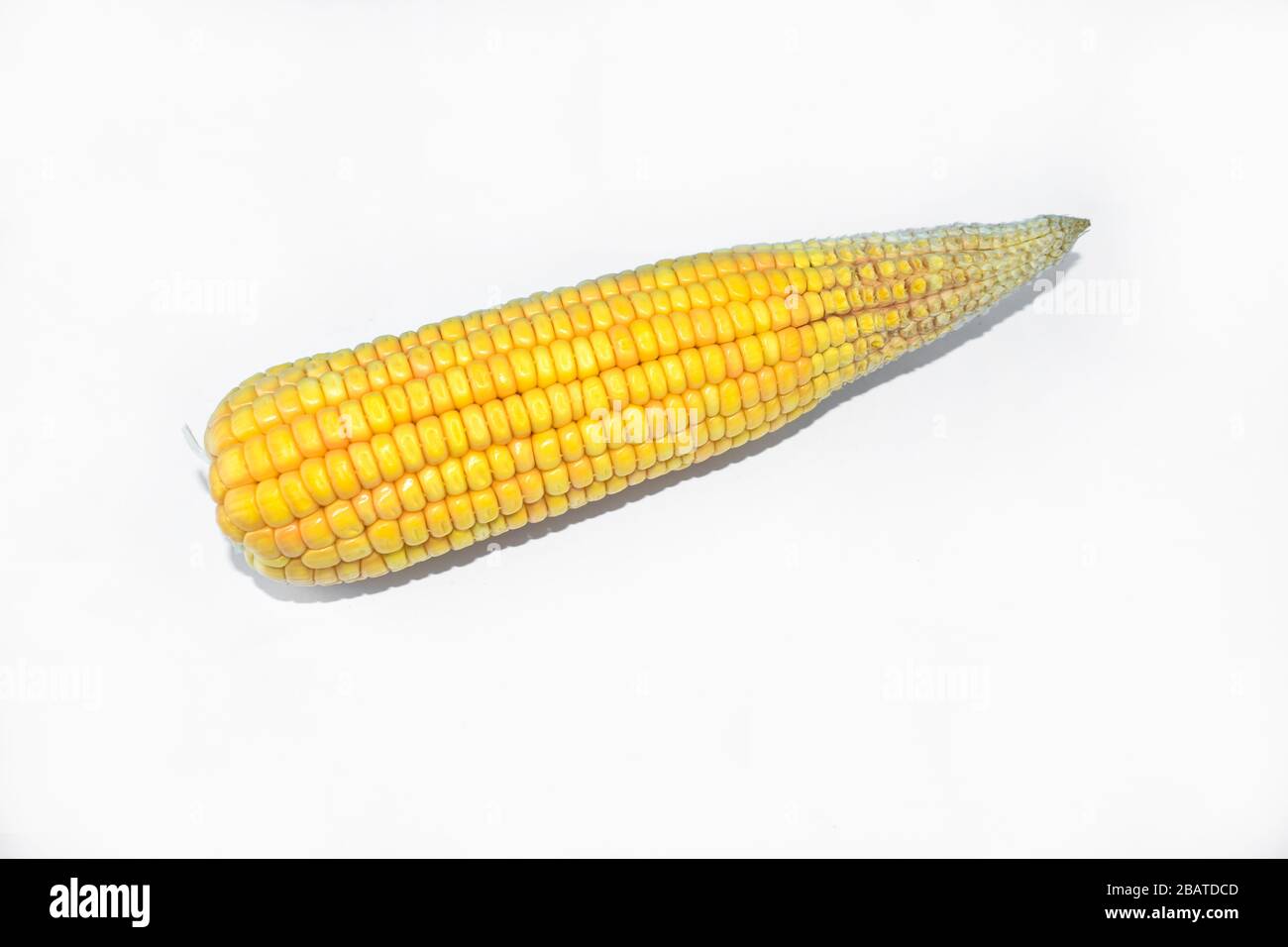 A sweet ear of yellow corn without leaves isolated on an empty white ...