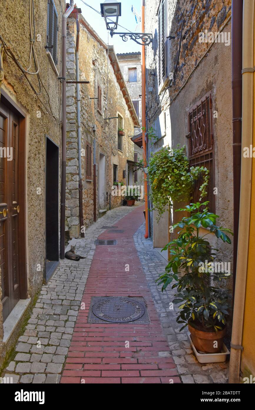 A narrow street between the stone houses of Prossedi, a medieval ...