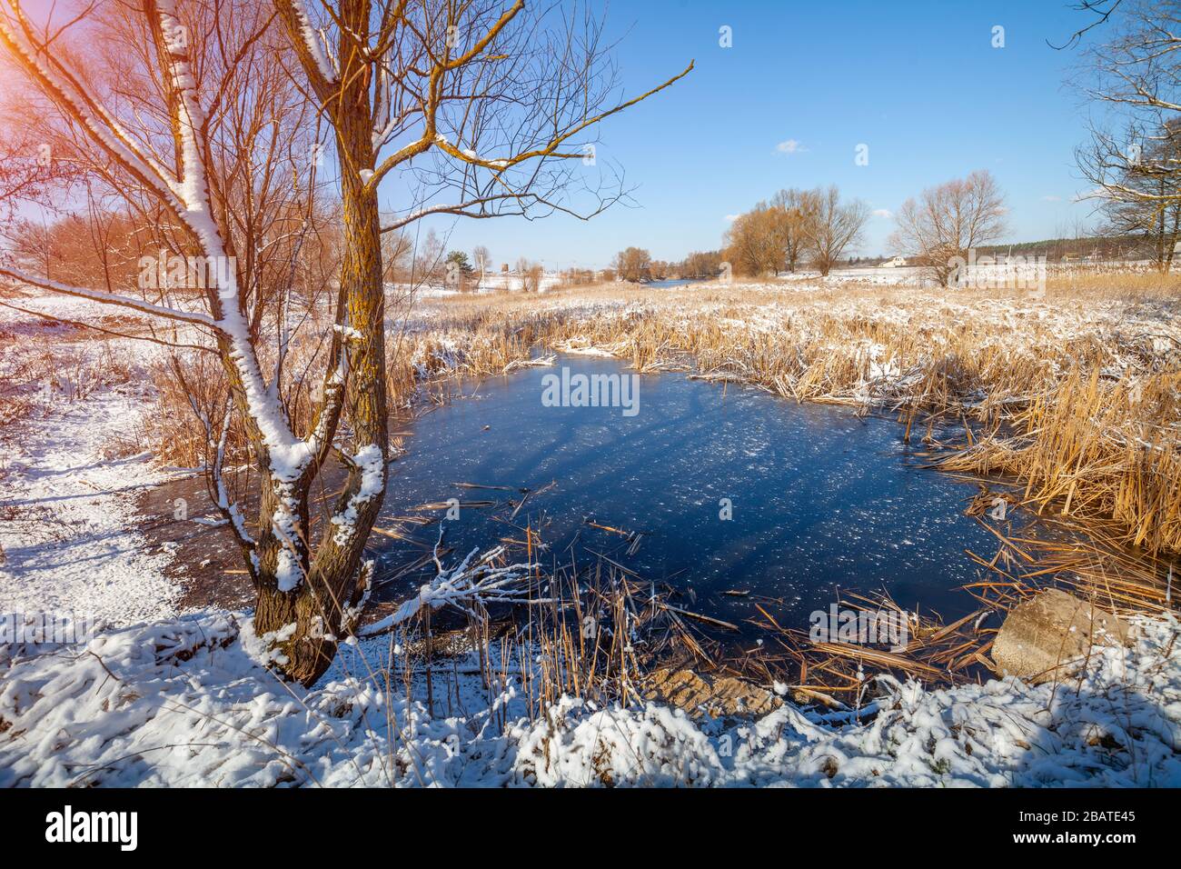 Spring view of lake with rush hi-res stock photography and images - Alamy