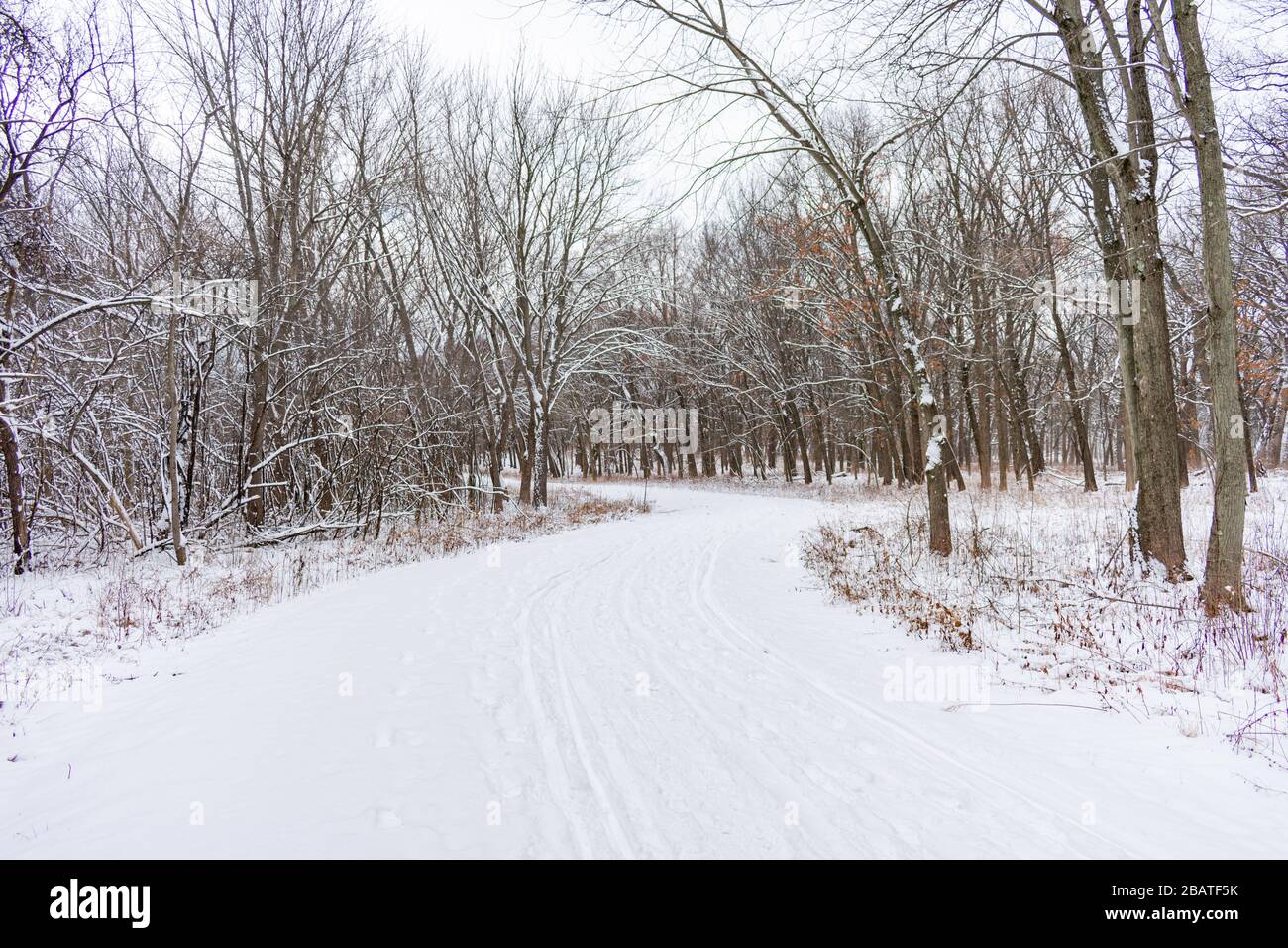 Curve forest hi-res stock photography and images - Alamy