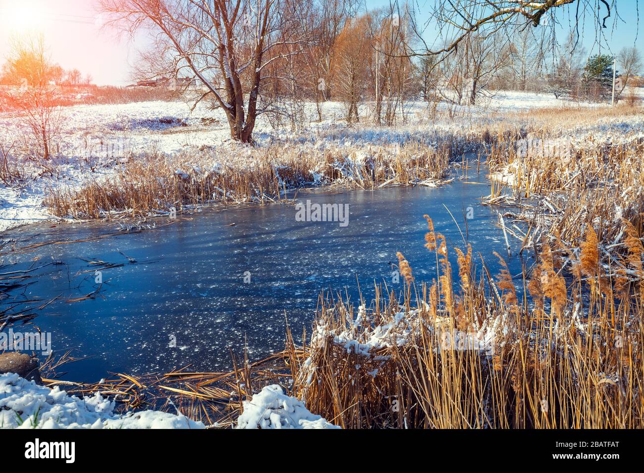 Frozen sedge hi-res stock photography and images - Alamy