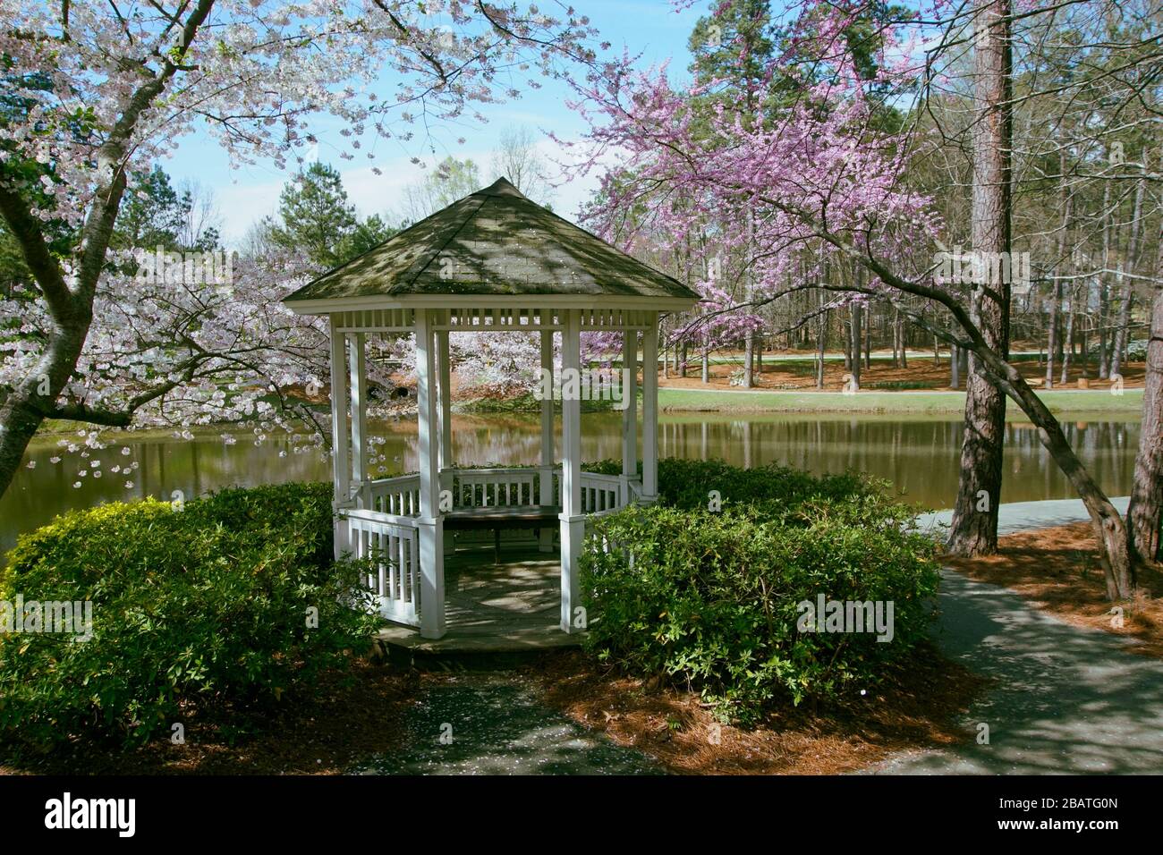 Gazebo by a pond surrounded by flowering trees Stock Photo - Alamy