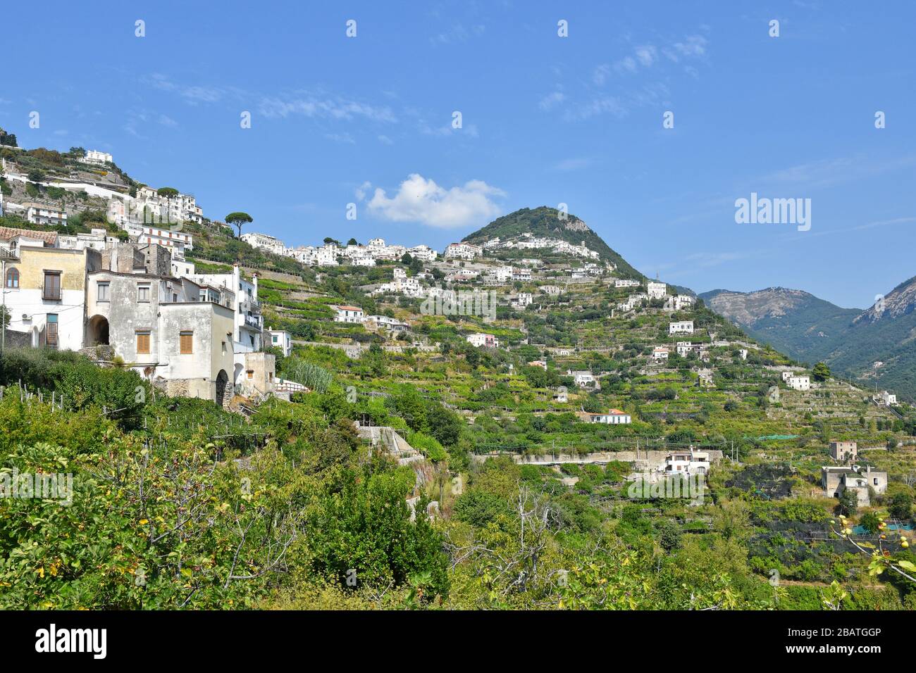 Flowers in a park in the city of Ravello, in the Amalfi Coast, Italy ...