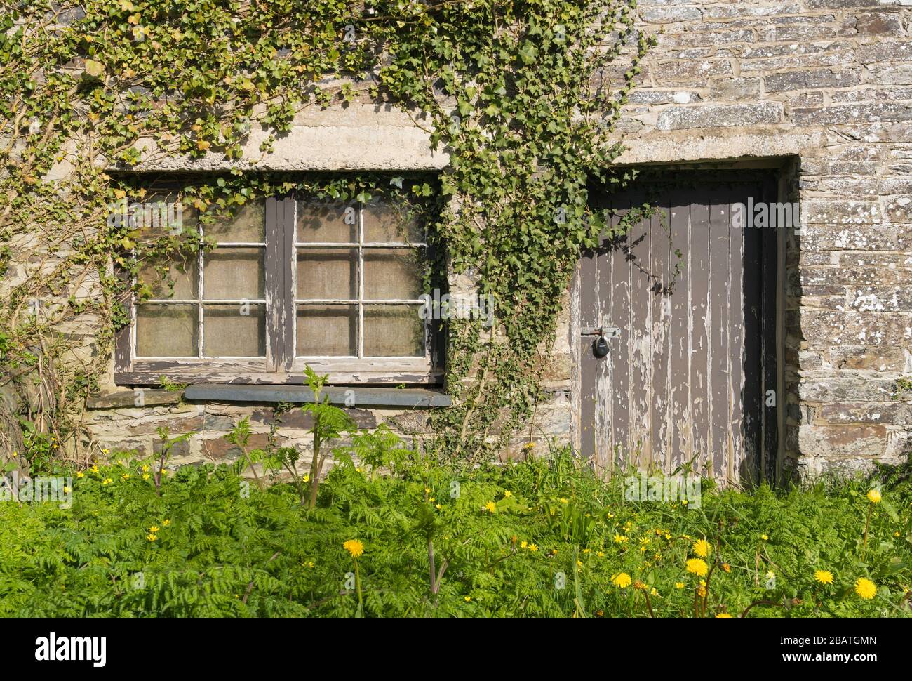 Run down building texture hi-res stock photography and images - Alamy