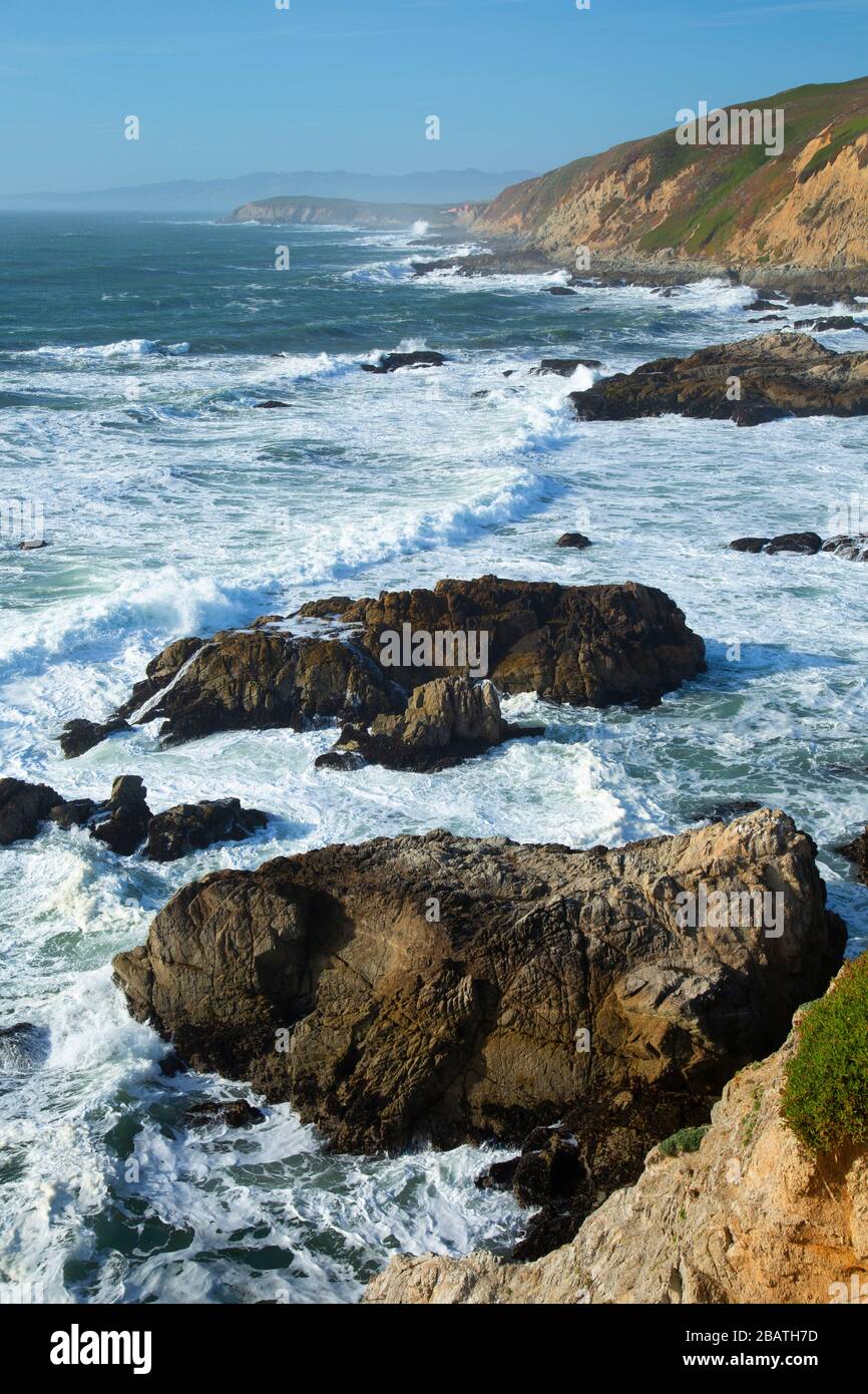Bodega Head coastline, Sonoma Coast State Park, California Stock Photo ...