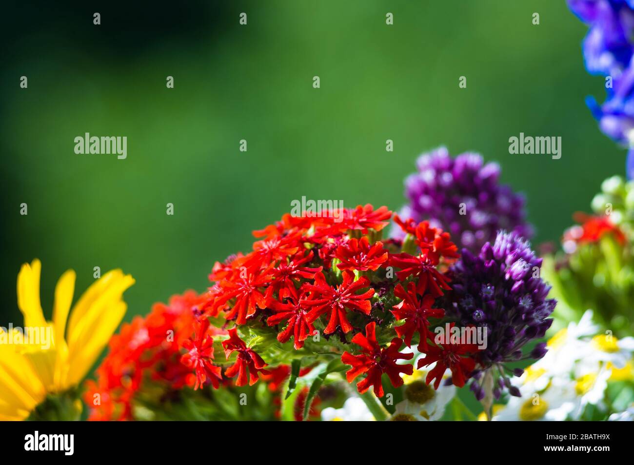 a bouquet of bright spring flowers of various types Stock Photo - Alamy