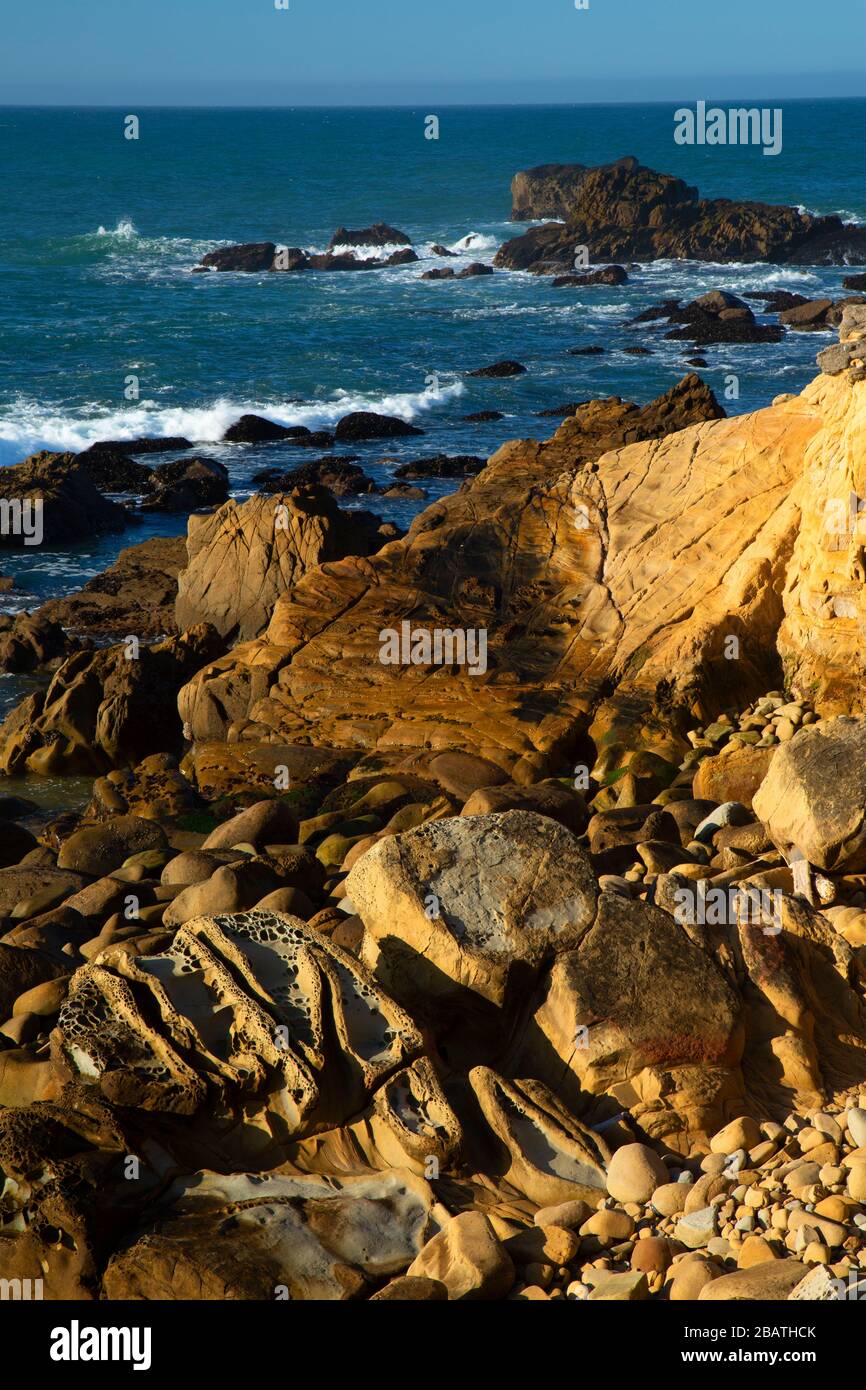 Salt Point coast along Salt Point Trail, Salt Point State Park ...