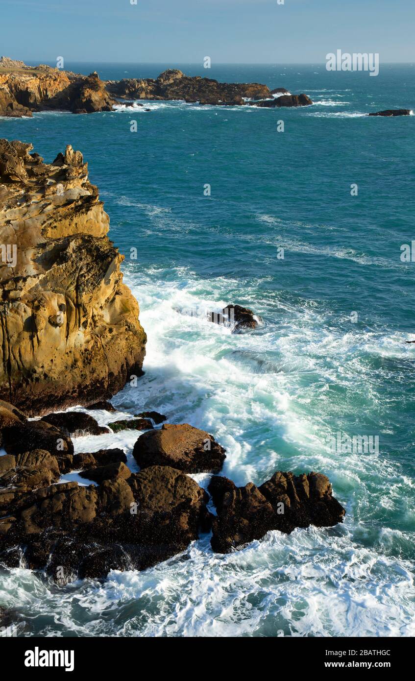 Salt Point coastline near South Gerstle Point, Salt Point State Park ...