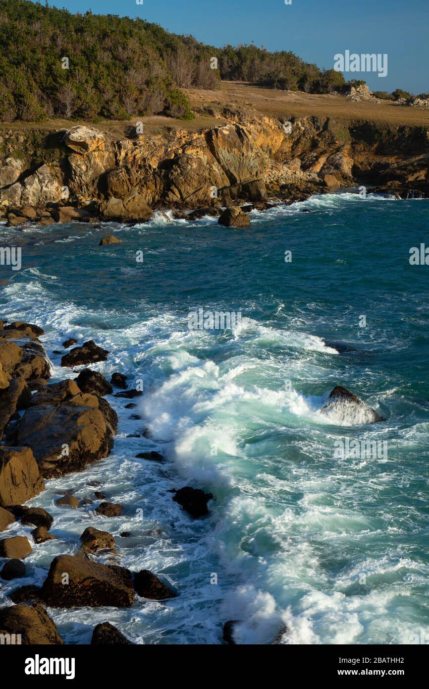 Salt Point coastline near South Gerstle Point, Salt Point State Park ...