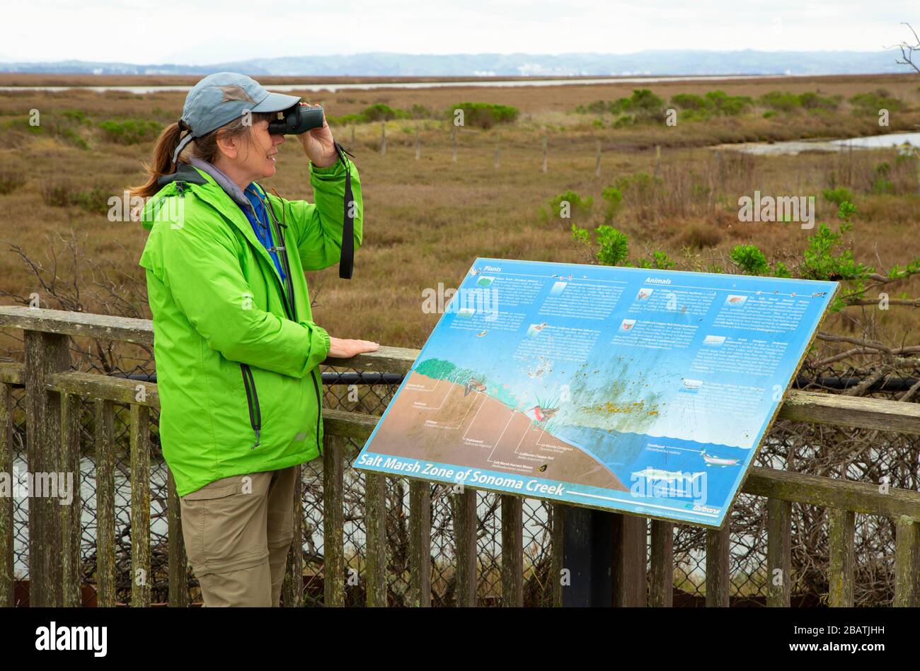 Birding by interpretive board, San Pablo National Wildlife Refuge ...