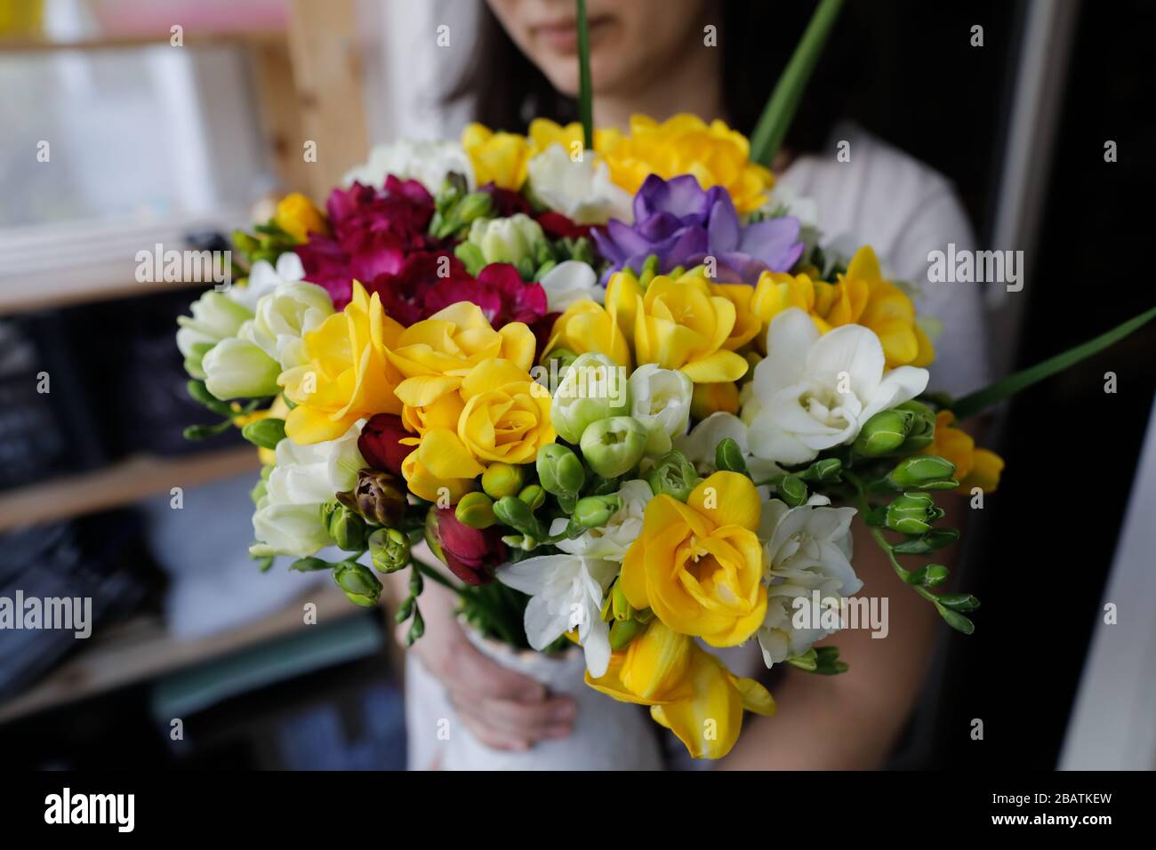 Freesia flower hi-res stock photography and images - Alamy