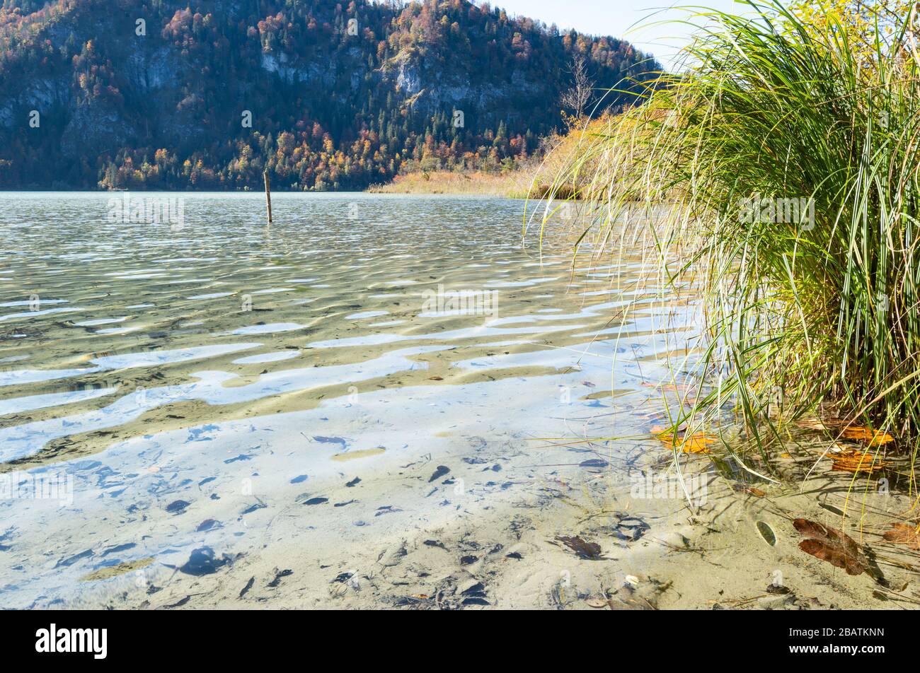 Sunny idyllic colorful autumn alpine view. Peaceful Alps mountain Offensee lake with clear ...