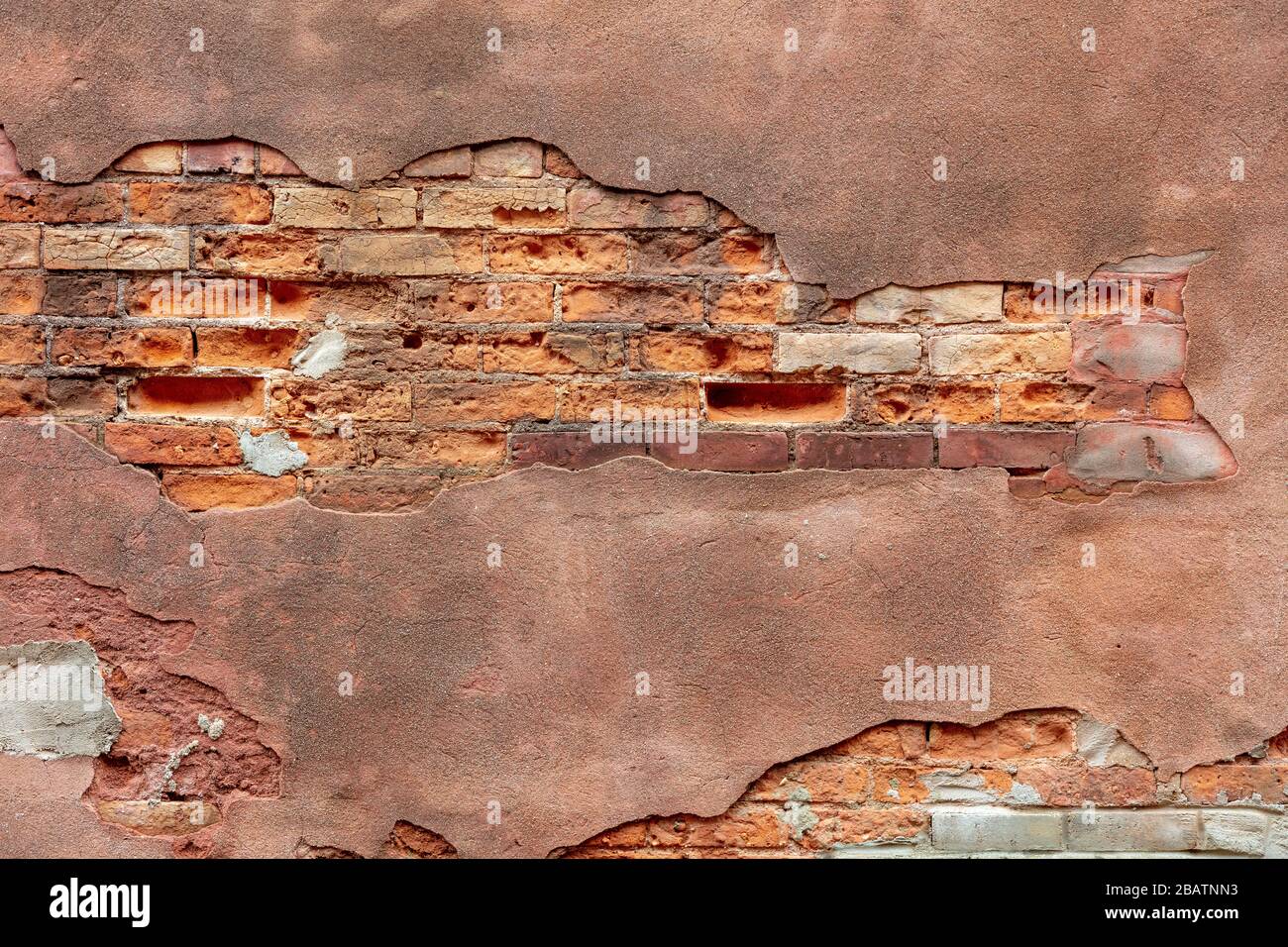 Brick wall, by James D Coppinger/Dembinsky Photo Assoc Stock Photo - Alamy