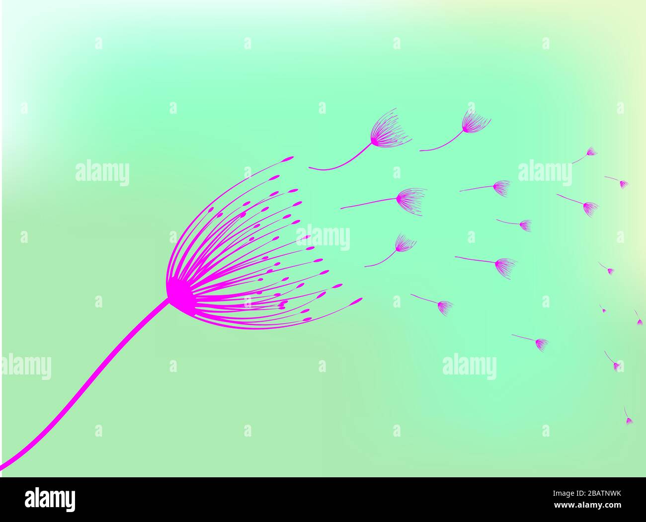 Dandelion illustration. Light background. Spring blossom. Flower ...