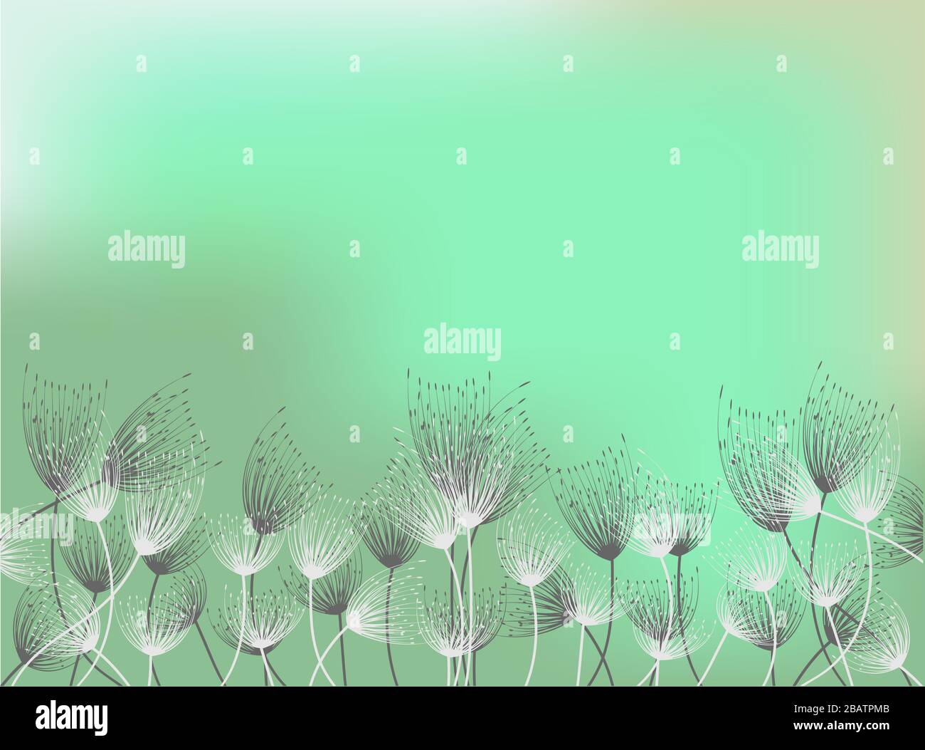 Dandelion illustration. Light background. Spring blossom. Flower ...