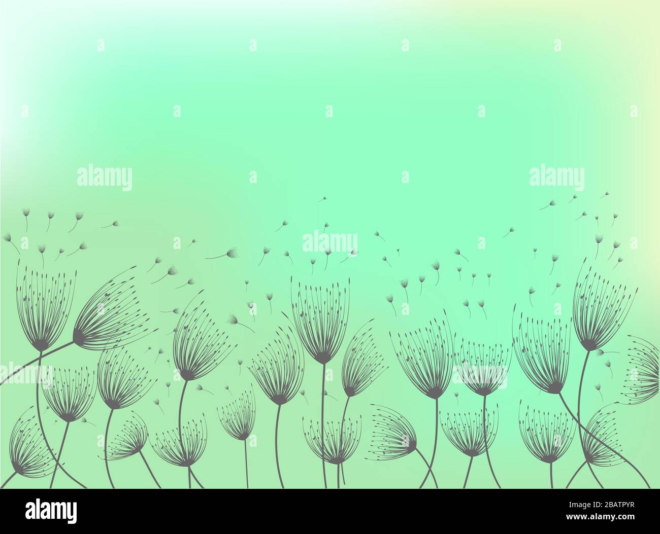 Dandelion illustration. Light background. Spring blossom. Flower ...