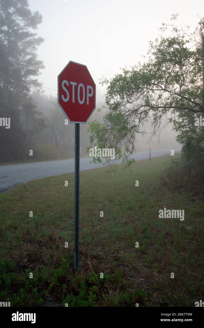 Rural, country road in heavy fog at daybreak Stock Photo - Alamy