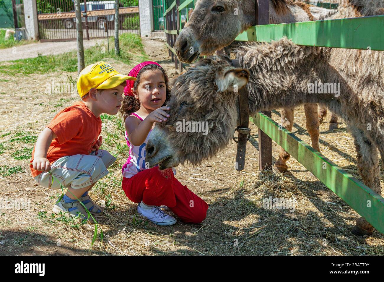 little girl and kid lovingly stroking the head of a donkey in a corral ...