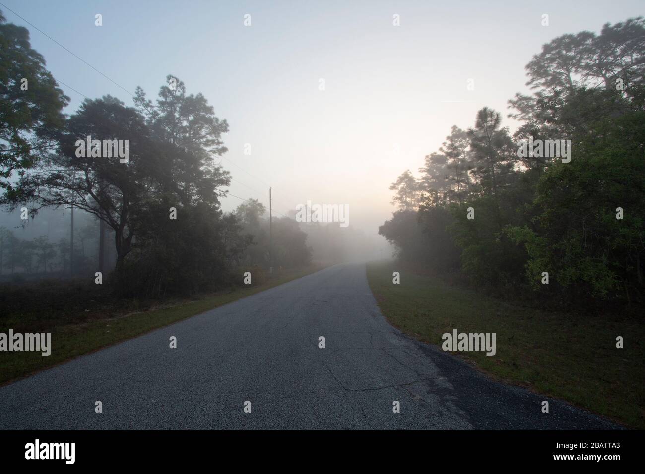 Rural, country road in heavy fog at daybreak Stock Photo - Alamy