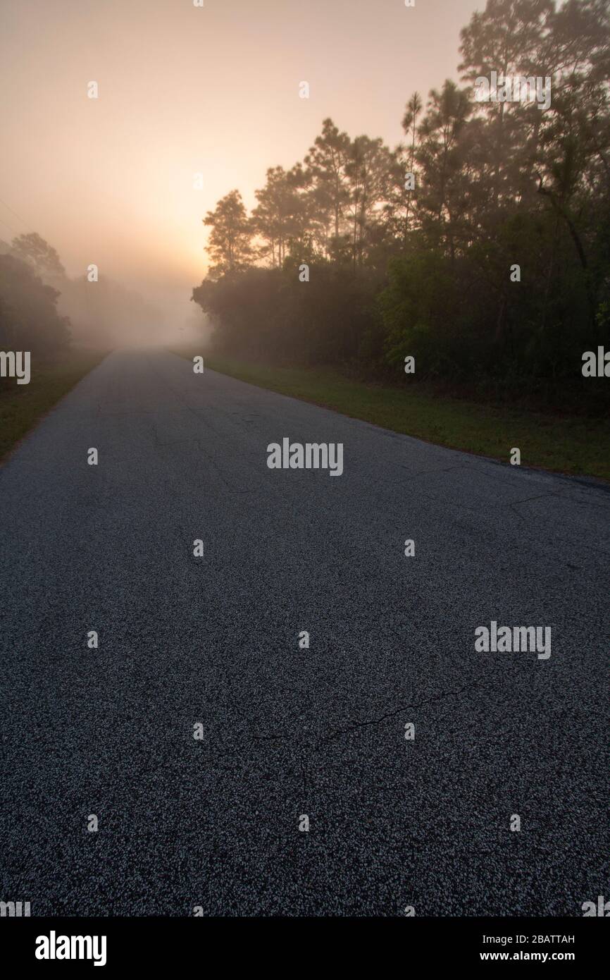 Rural, country road in heavy fog at daybreak Stock Photo - Alamy