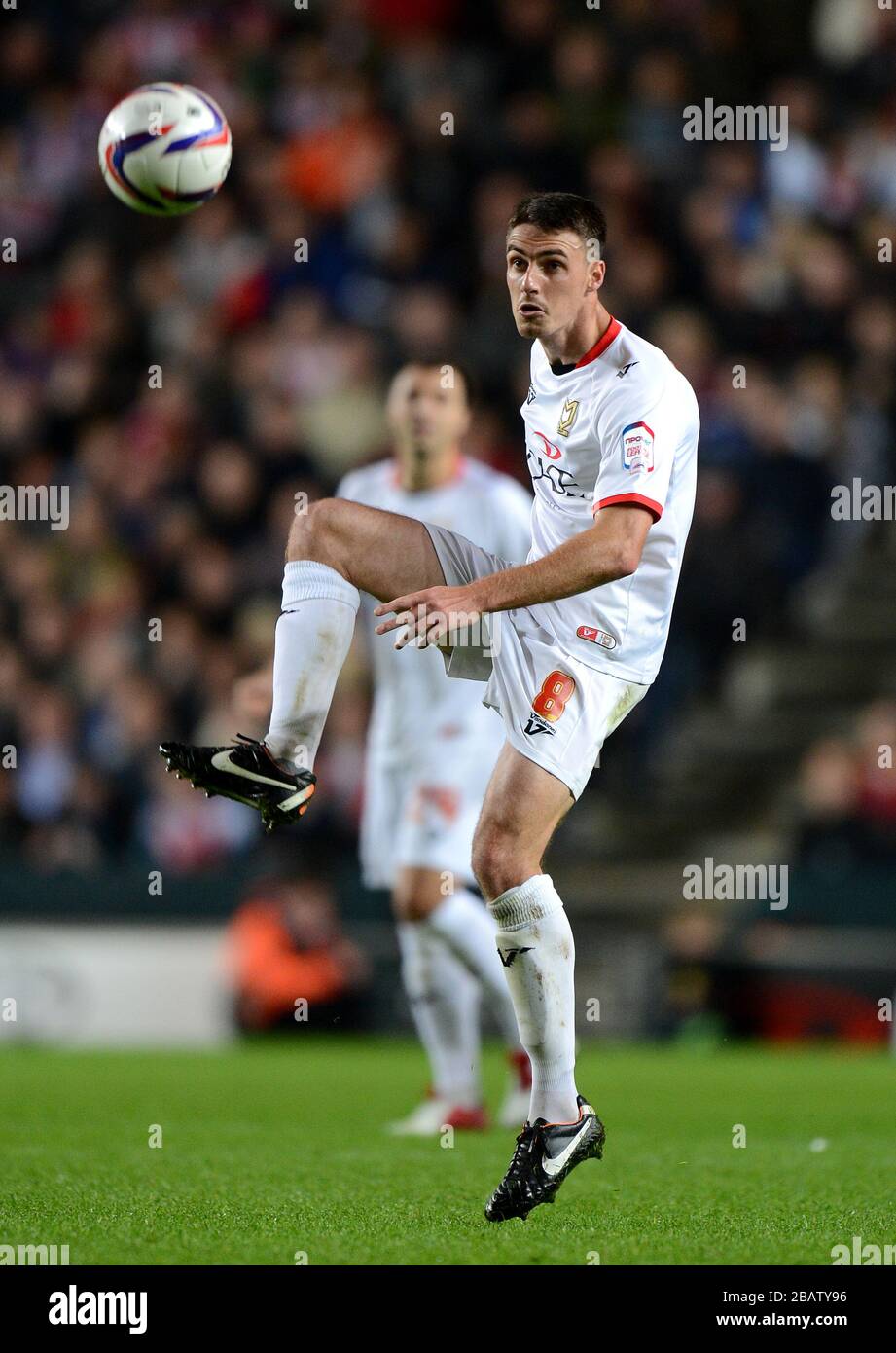 Darren Potter, Milton Keynes Dons Stock Photo - Alamy
