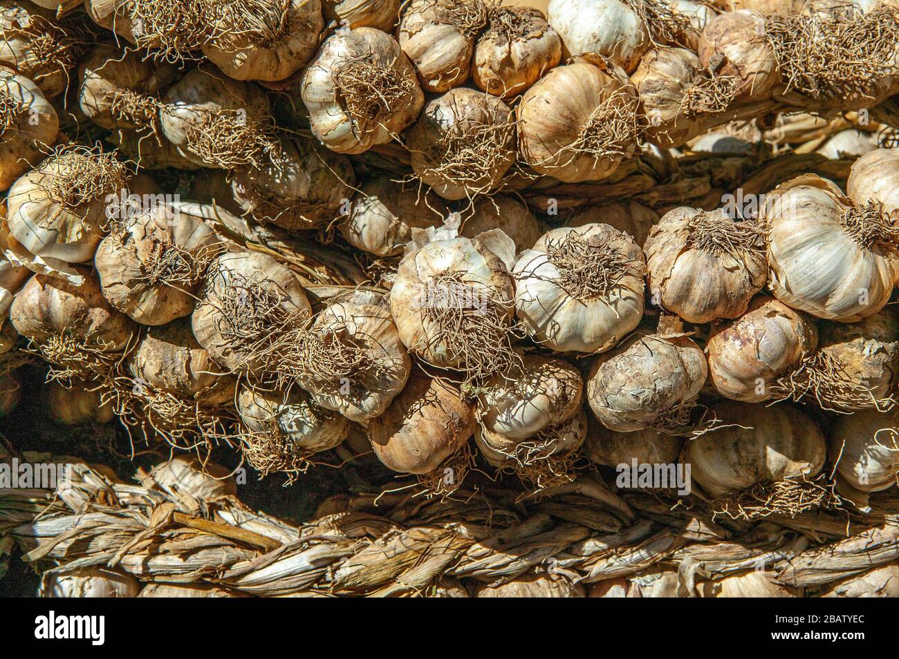 Traditional garlic braids hi-res stock photography and images - Alamy