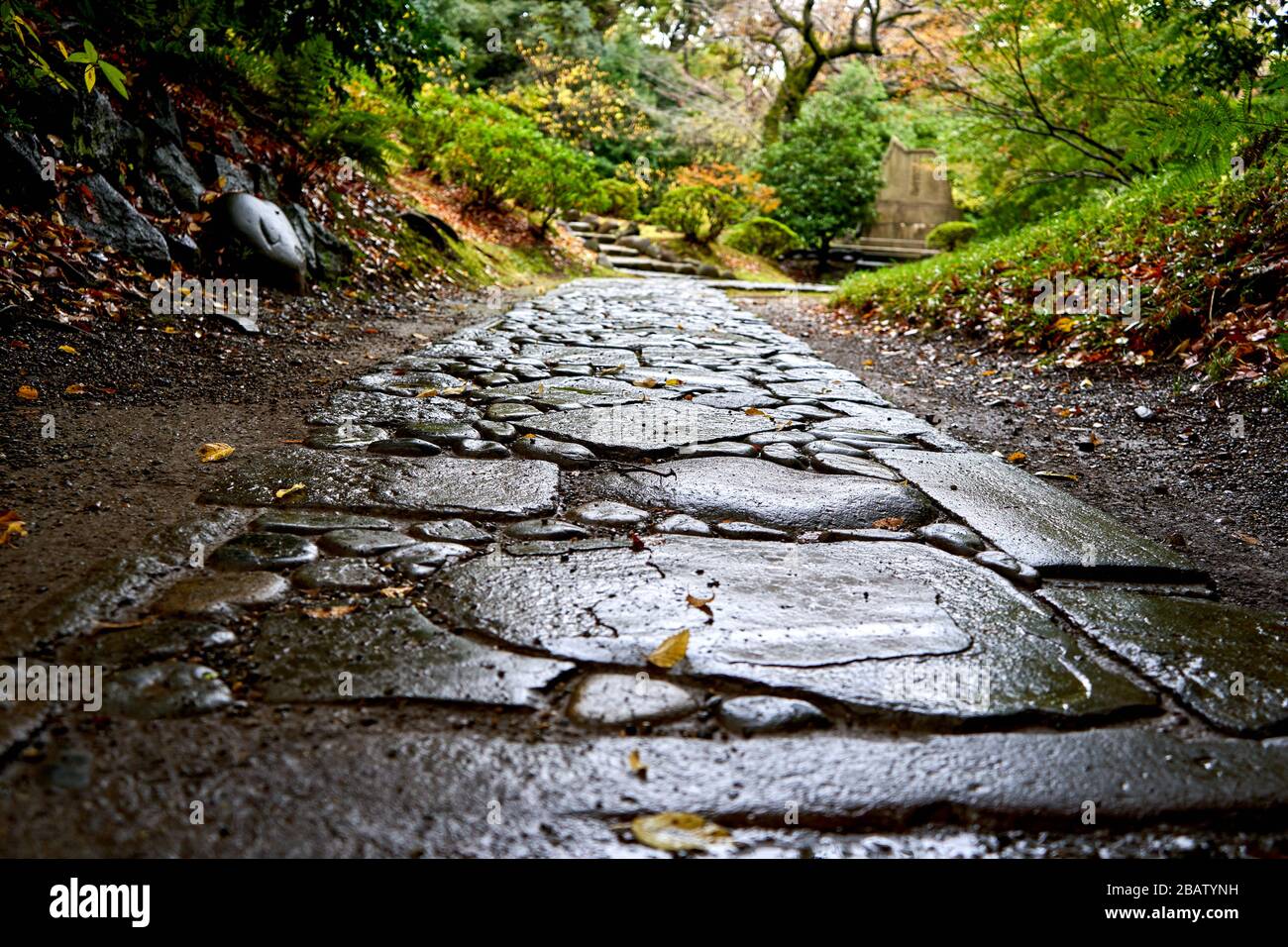 Stone path in Japanese style garden Stock Photo - Alamy
