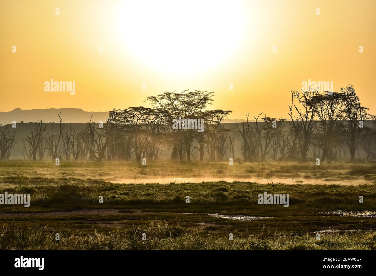 magical sunset in Kenya Stock Photo - Alamy