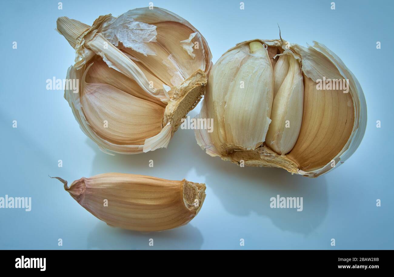 Garlic vegetable on light blue background Stock Photo - Alamy