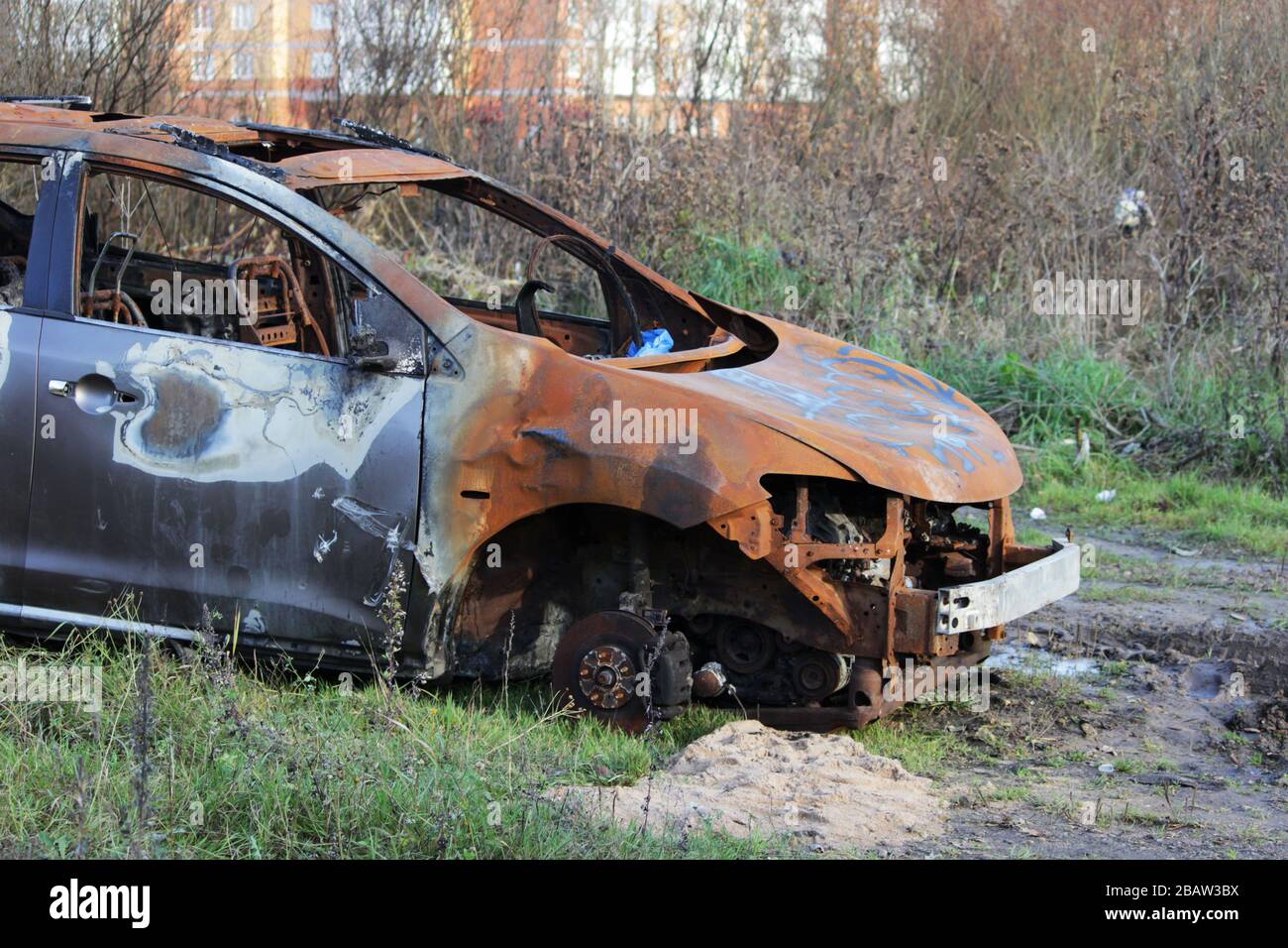 skeleton from a burnt passenger car is in the forest. rusty body Stock ...