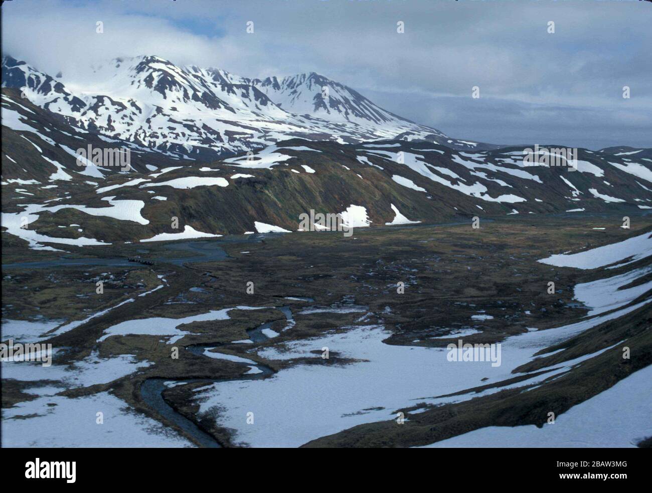 Attu fish hi-res stock photography and images - Alamy