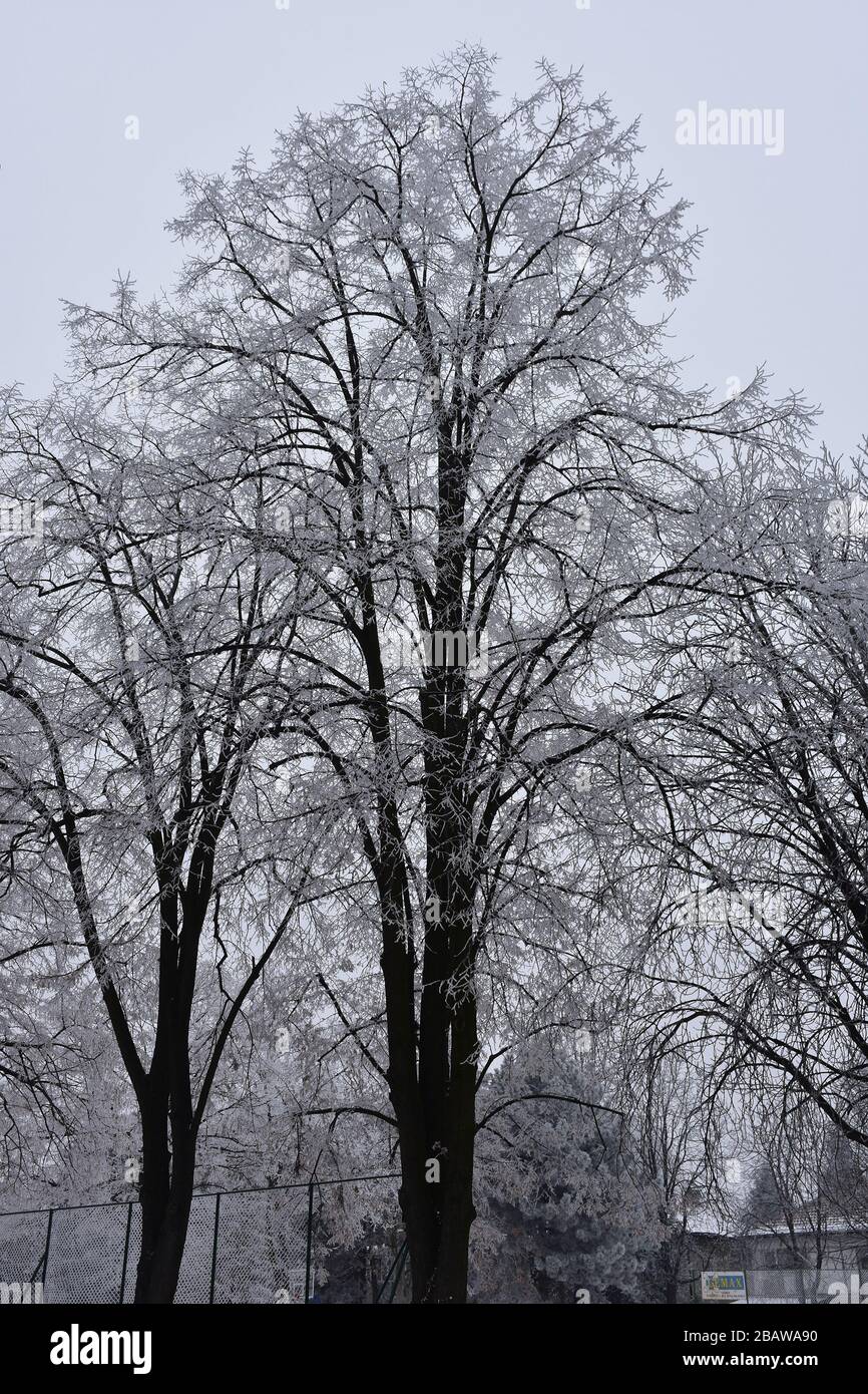 Thin layer of snow hi-res stock photography and images - Alamy