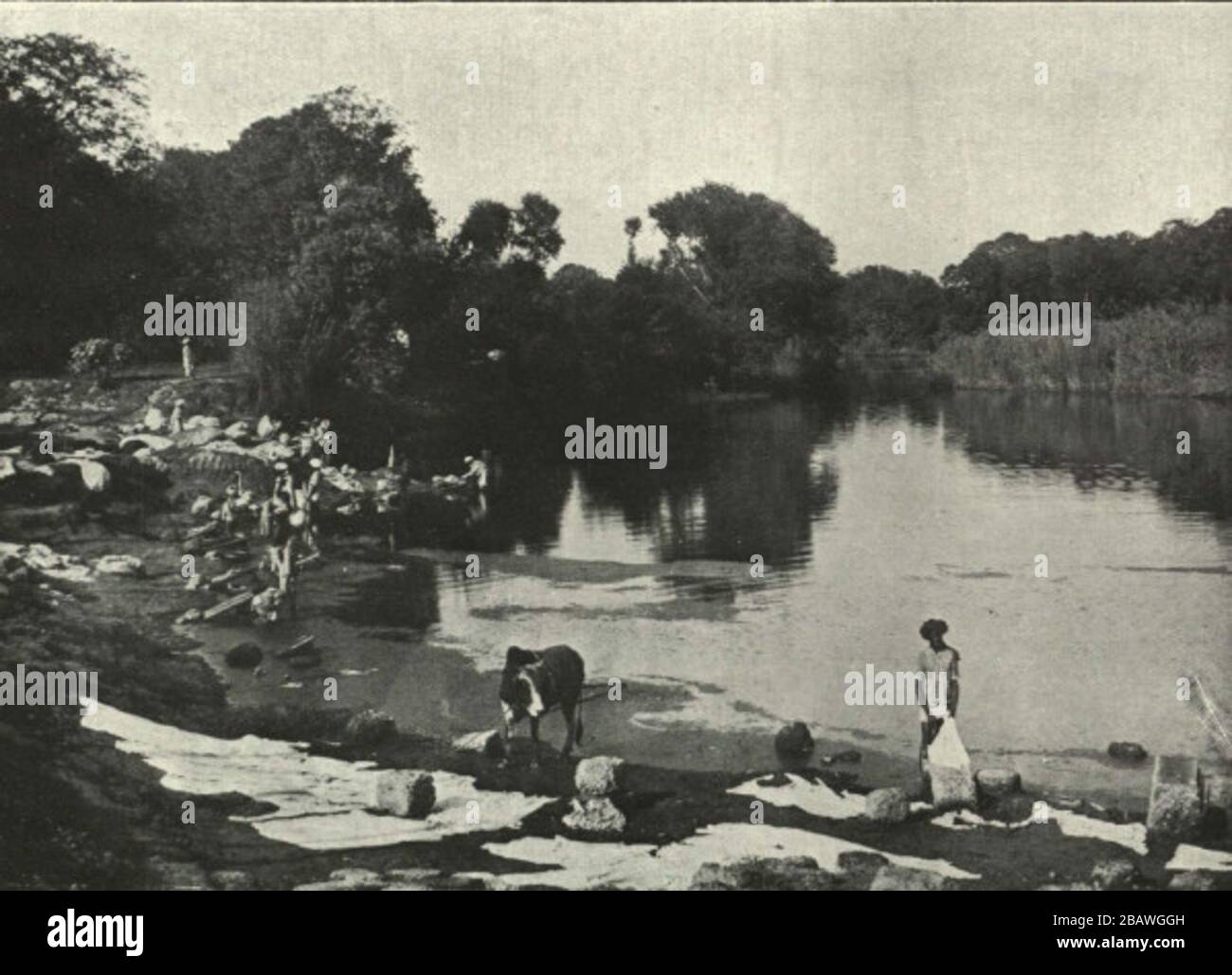 Indian washermen hi-res stock photography and images - Alamy