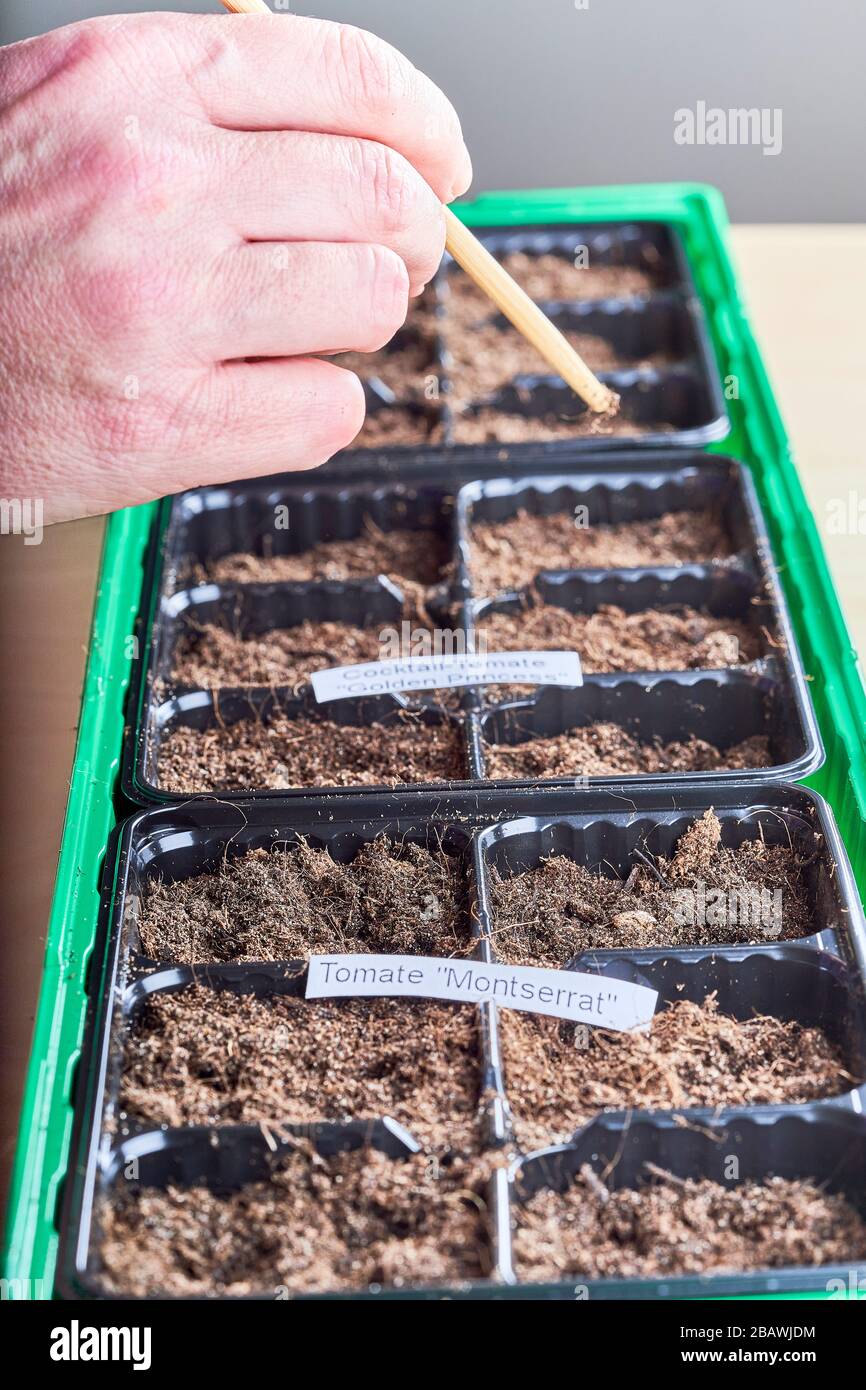 Sow seeds hi-res stock photography and images - Alamy