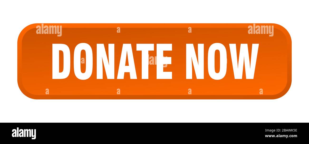 donate now button. donate now square 3d push button Stock Vector Image ...