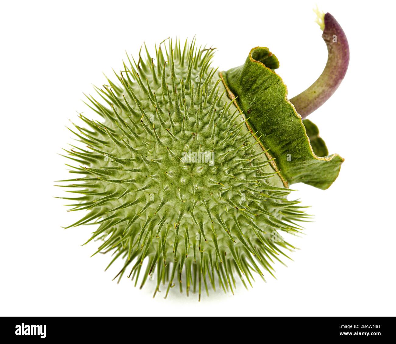 Hells Bells High Resolution Stock Photography and Images - Alamy