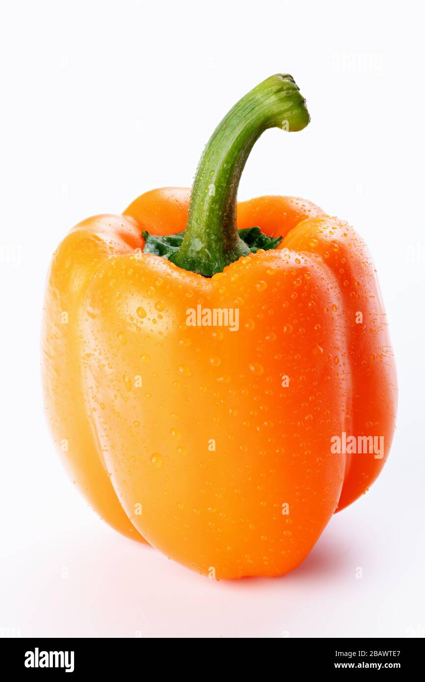 Fresh organic pepper portrait with small drops of water Stock Photo - Alamy