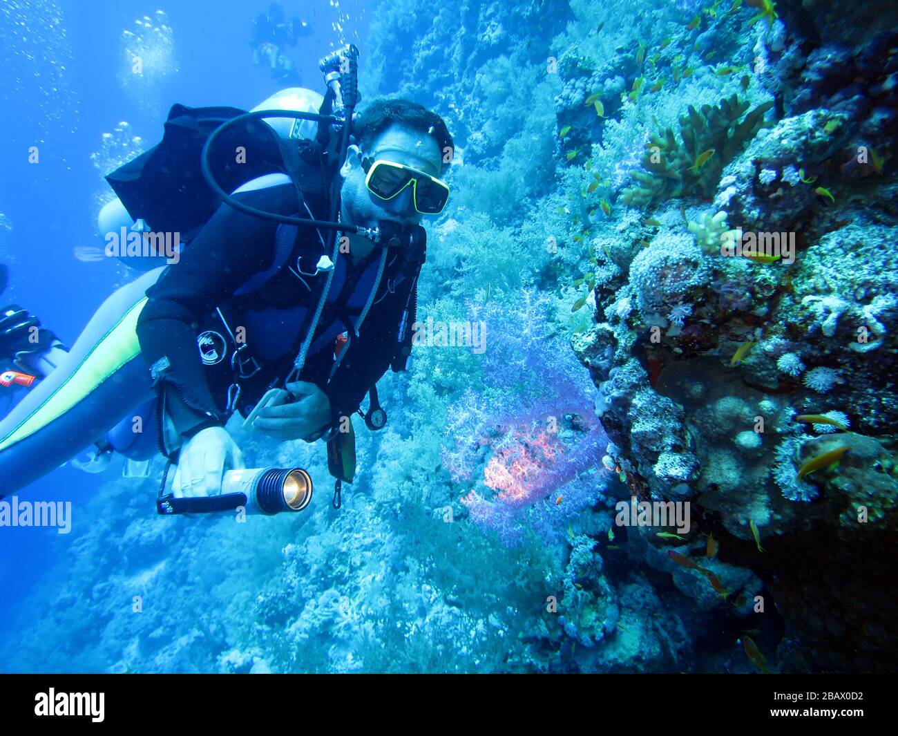 Rotes meer riff hi-res stock photography and images - Alamy