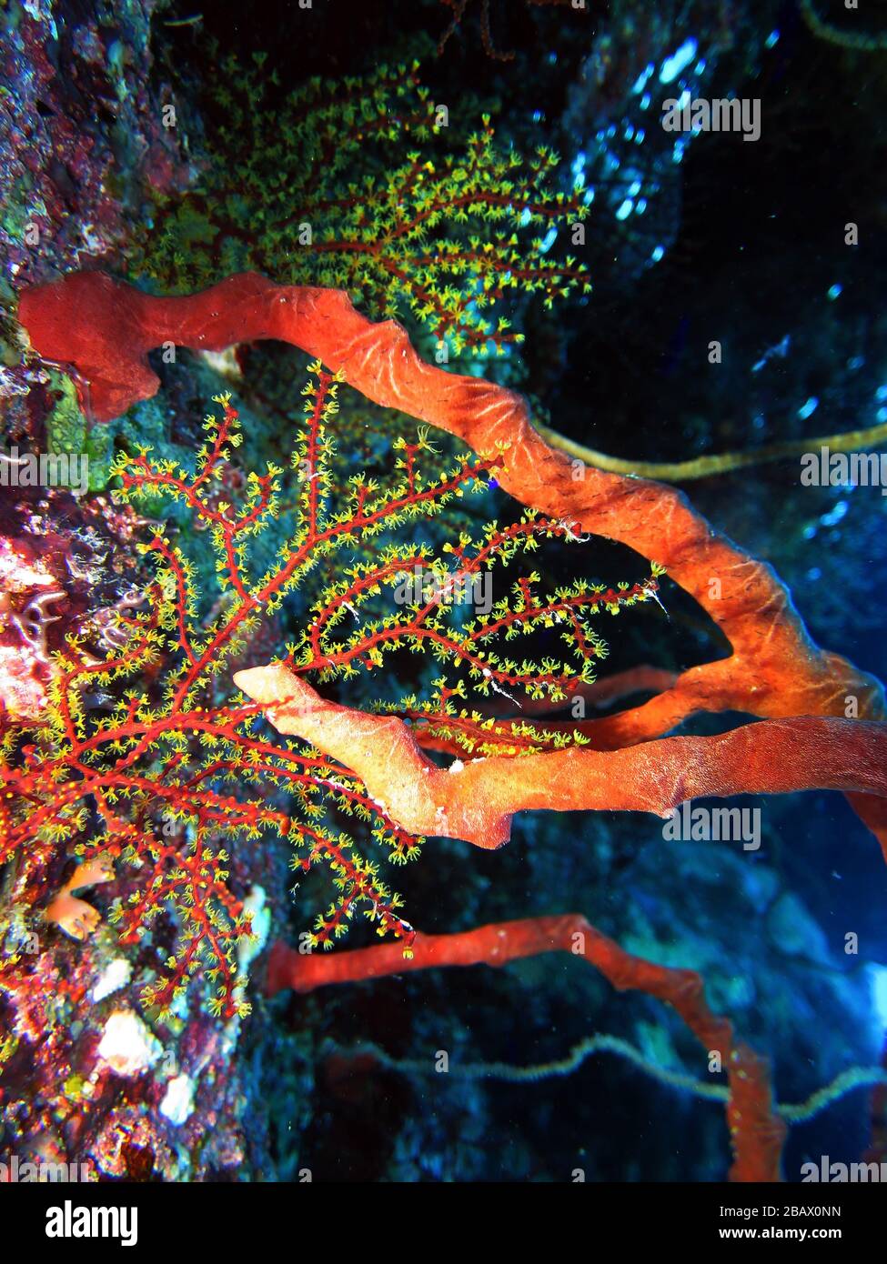 Roter meer hi-res stock photography and images - Alamy