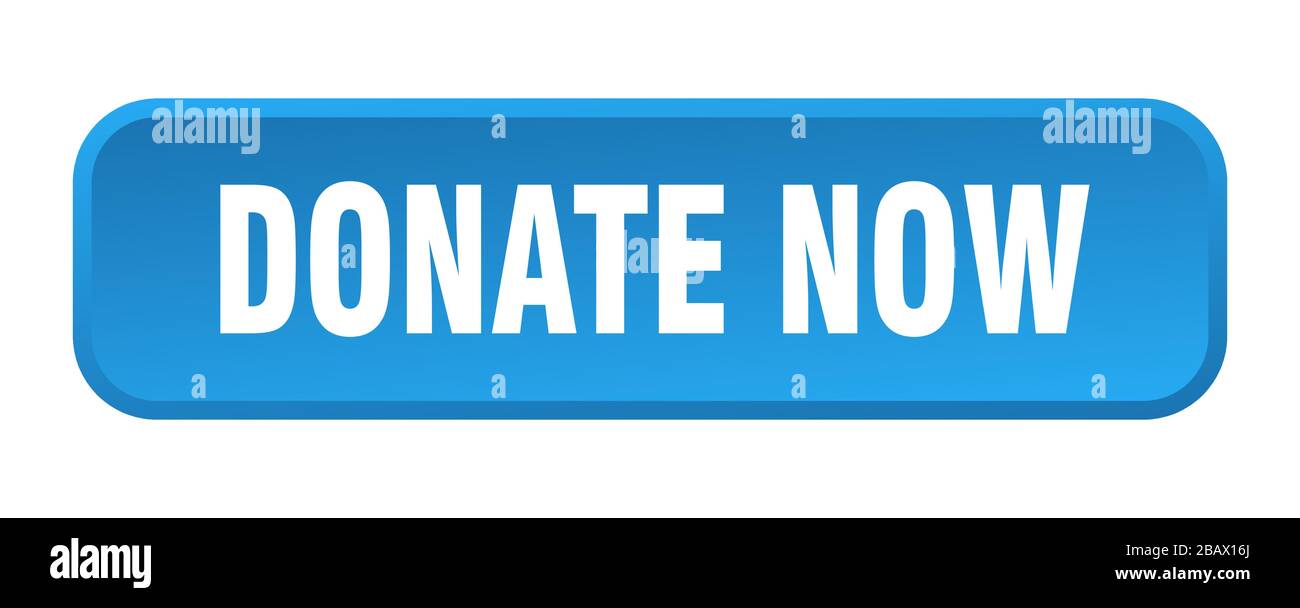 donate now button. donate now square 3d push button Stock Vector Image ...