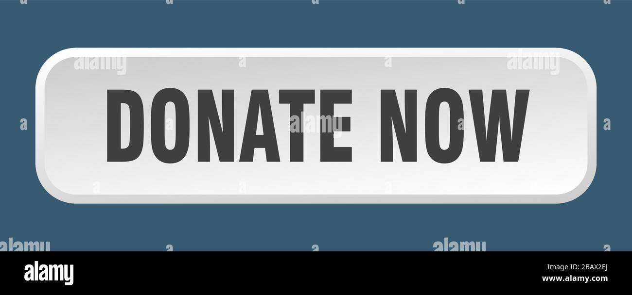 donate now button. donate now square 3d push button Stock Vector Image & Art - Alamy