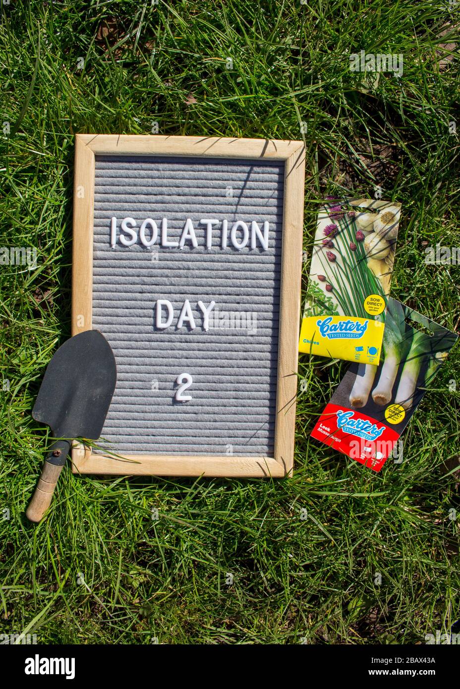 Isolation diary day 2 Stock Photo - Alamy