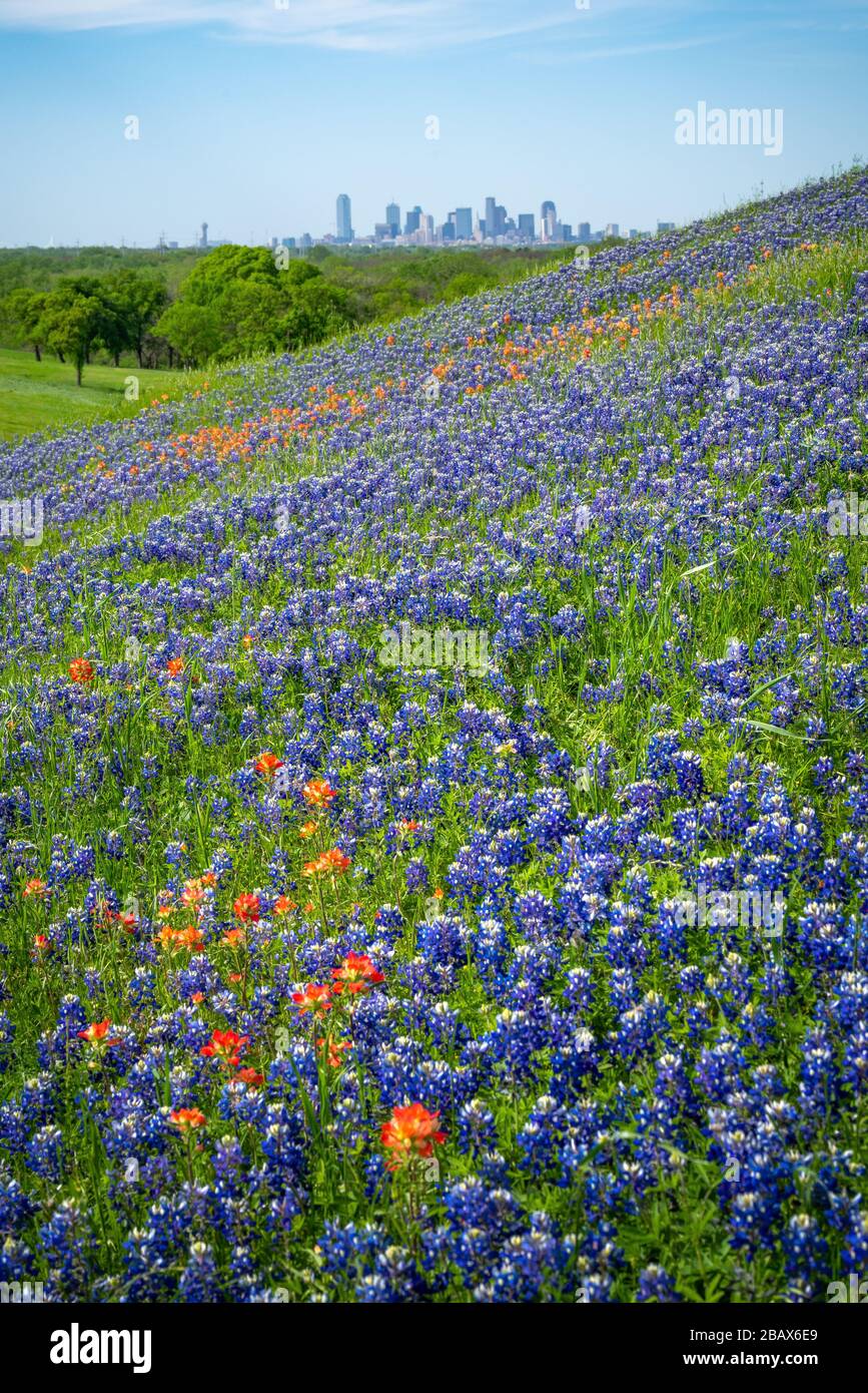 Dallas texas landscape hi-res stock photography and images - Alamy