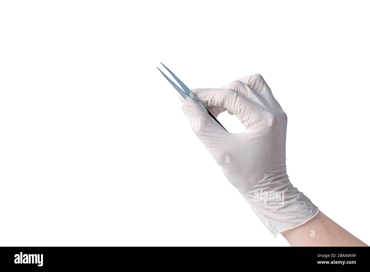 Female hand wearing a medical glove holds metal tweezers isolated on ...