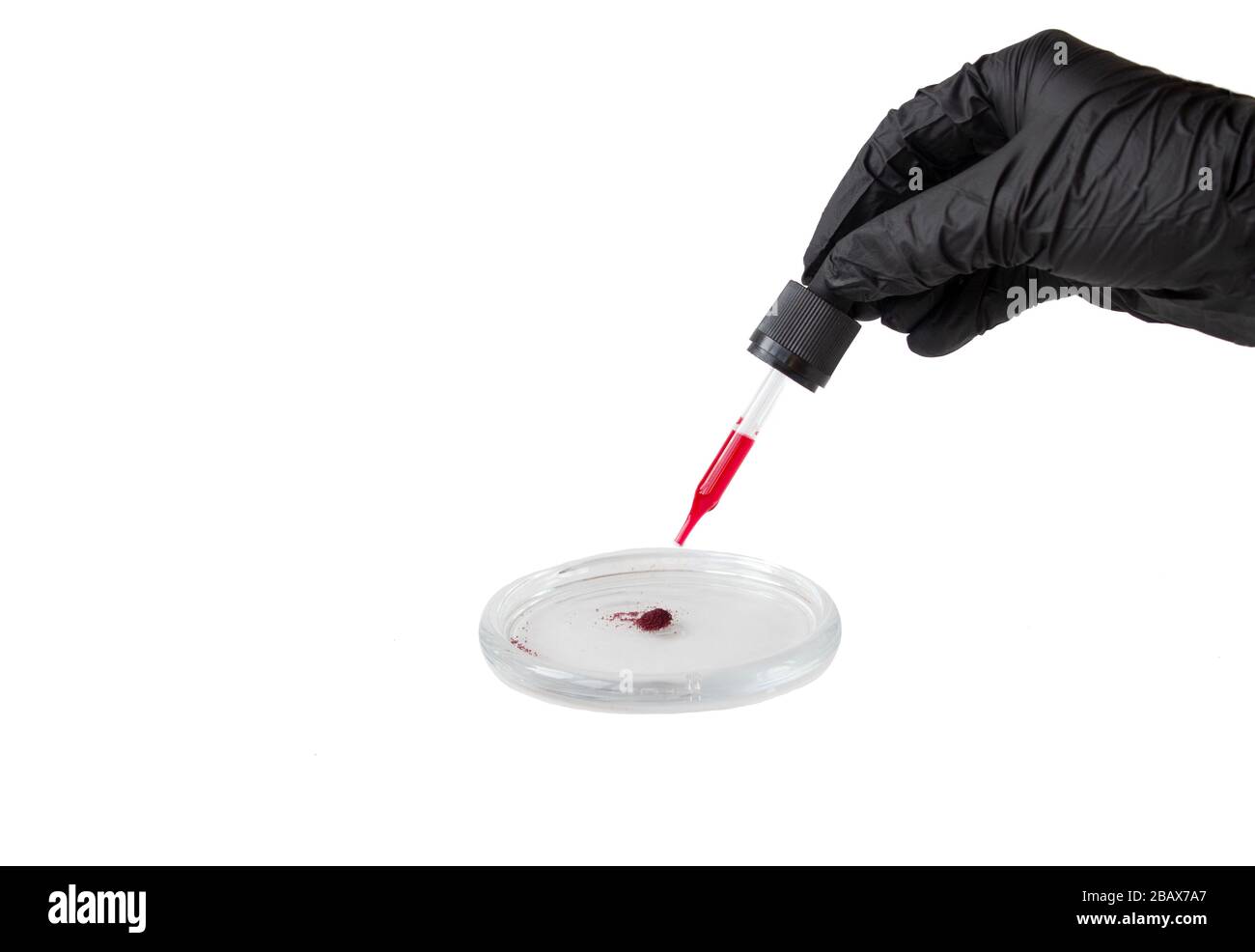 Blood test on a petri dish, a pipette with red liquid Stock Photo - Alamy