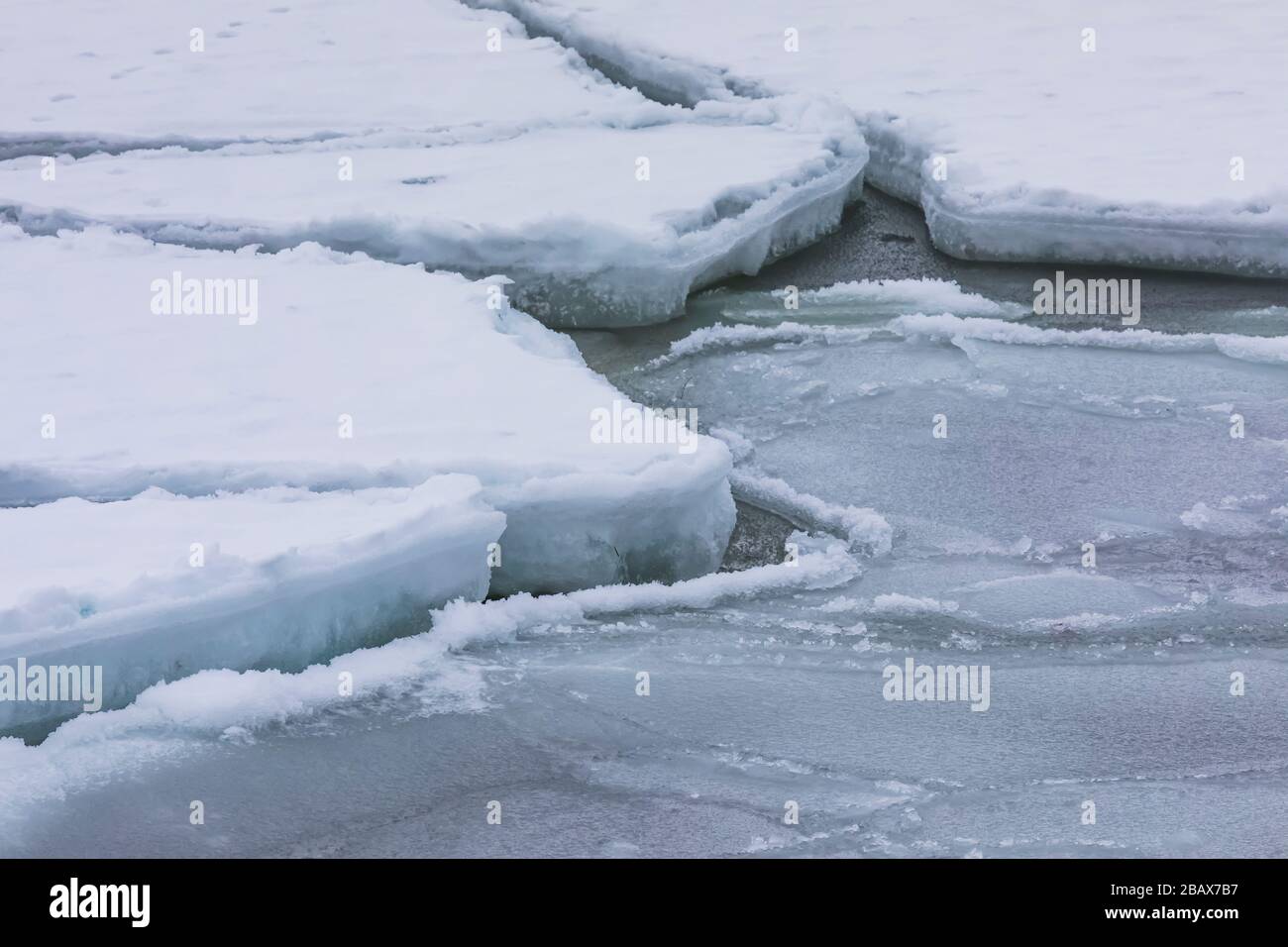 Newfoundland winter hi-res stock photography and images - Alamy